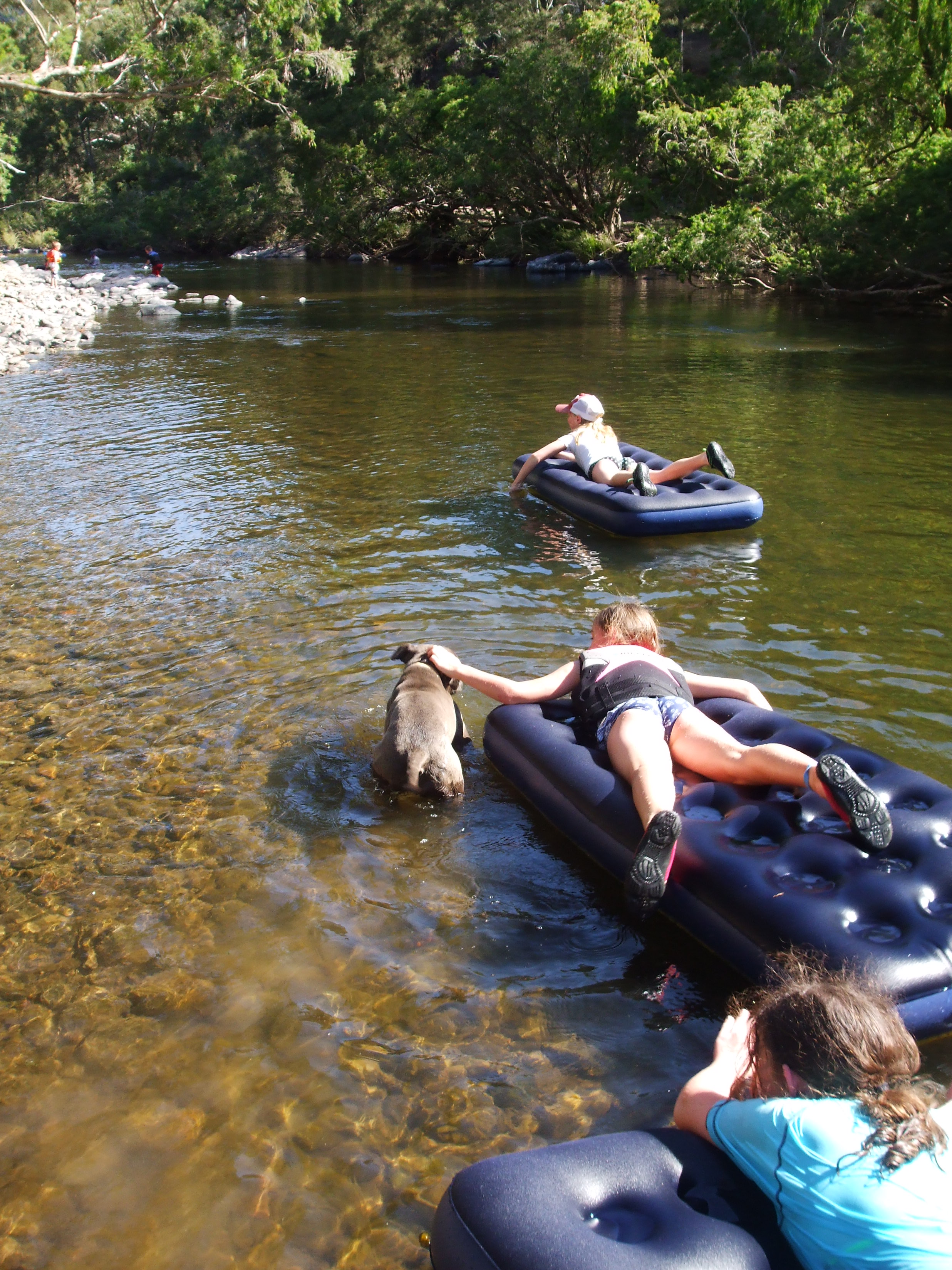 Gallery | Cundle Flat Farm Riverside Camping Holidays Manning River NSW ...