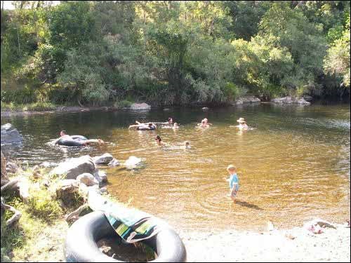 Gallery | Cundle Flat Farm Riverside Camping Holidays Manning River NSW ...